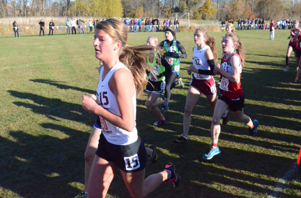 Northfield's Bierman closes career at state cross country meet | Sports ...