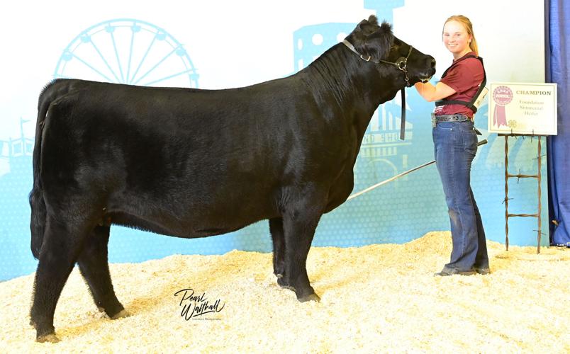 Faribault teen shows a champion at the State Fair | News | southernminn.com