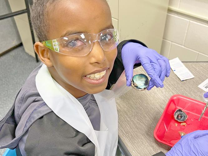 Local family donates cow eyeballs for class dissection | News ...