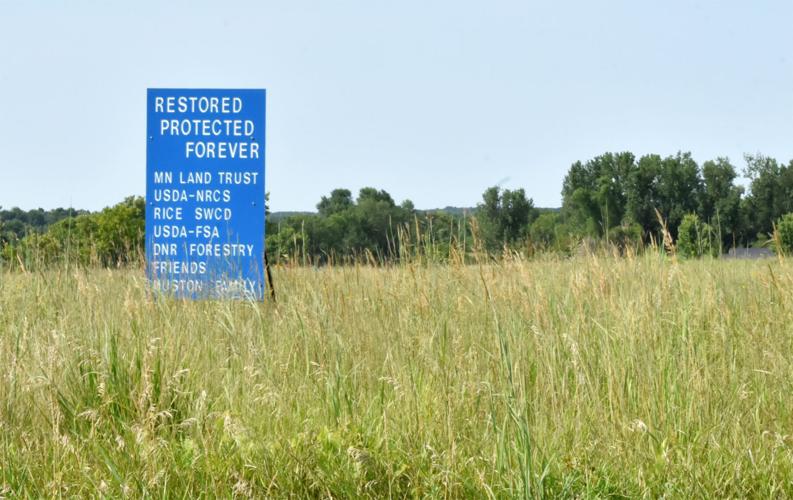 Faribault man's prairie restoration 'a shining example' for ...