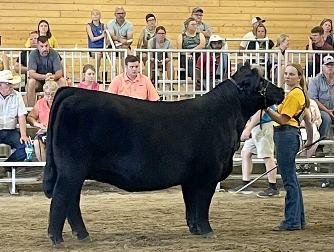 Faribault teen shows a champion at the State Fair | News | southernminn.com