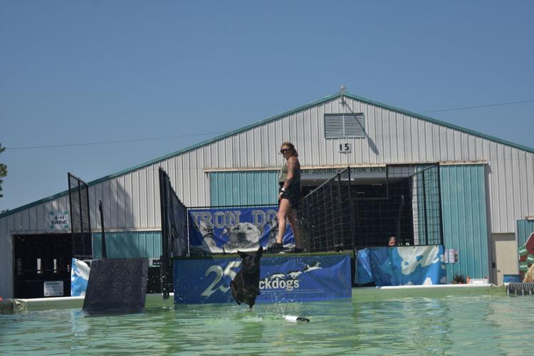 Waseca County Fair to return, bigger and better than ever | News ...