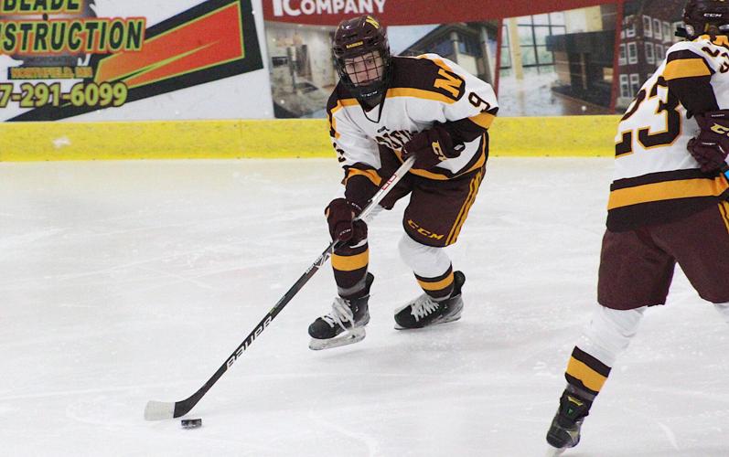 NHS girls hockey just short against Lakeville North | Sports ...