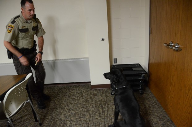 Rice County Sheriff's Office adds drug dog to staff | News ...
