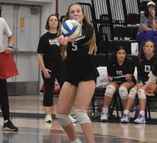 Blossoms win pigtail game to advance to 2nd round of sections | Sports ...