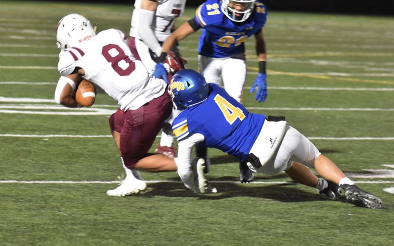 Waseca’s late surge falls short in Section 3AAA championship game | Sports | southernminn.com