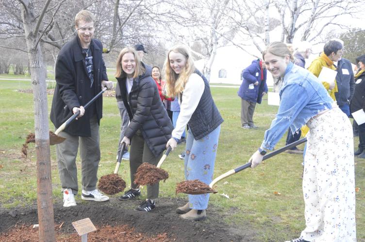 Tree planted in celebration of Gustavus Arboretum's 50th anniversary ...
