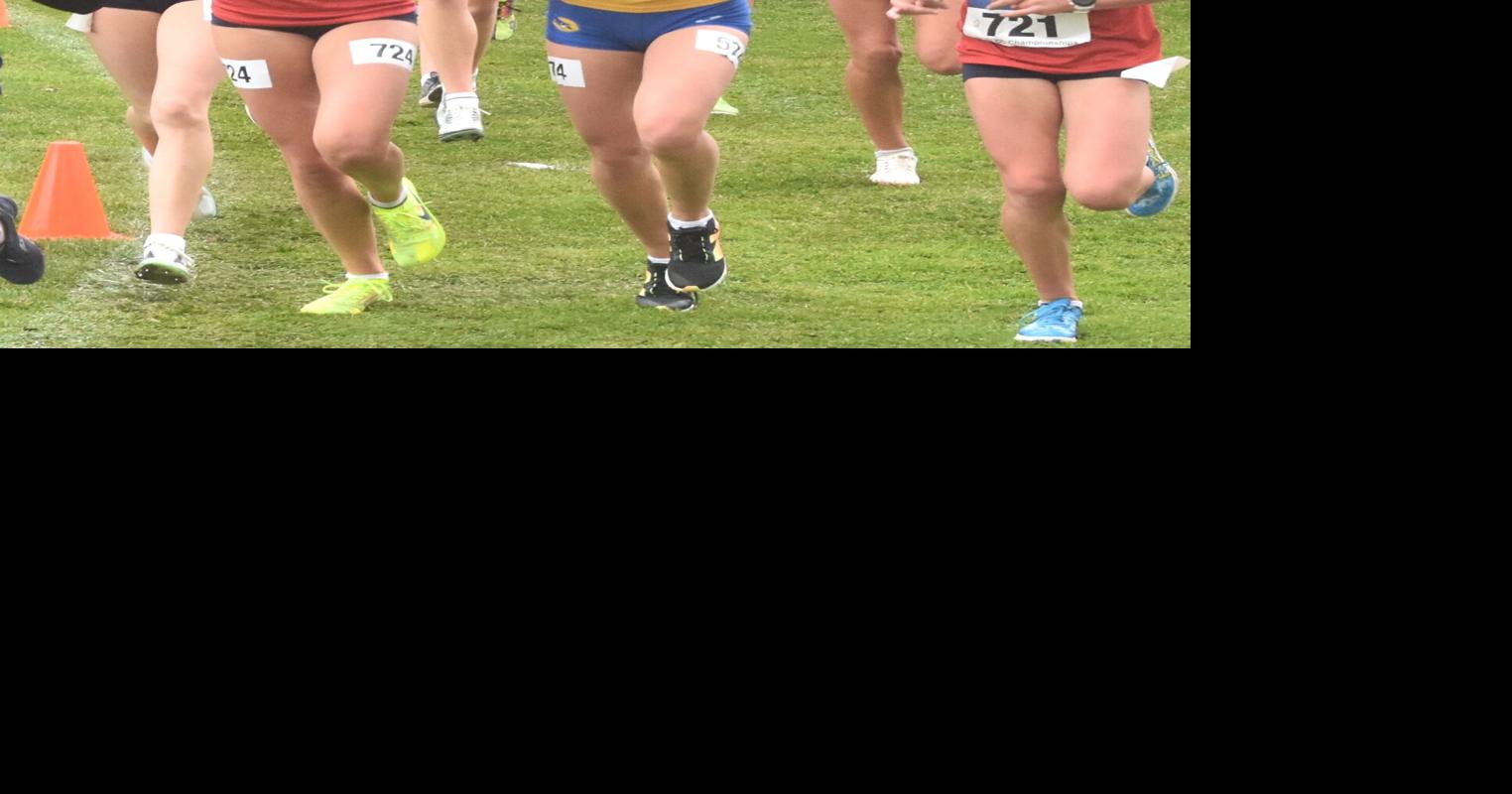 Kopischke closes out season for Waseca cross country at state meet ...