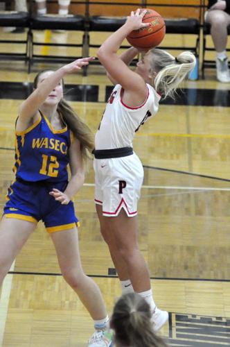 Panther's clutch shooting propel them past Waseca in Section 2AA ...