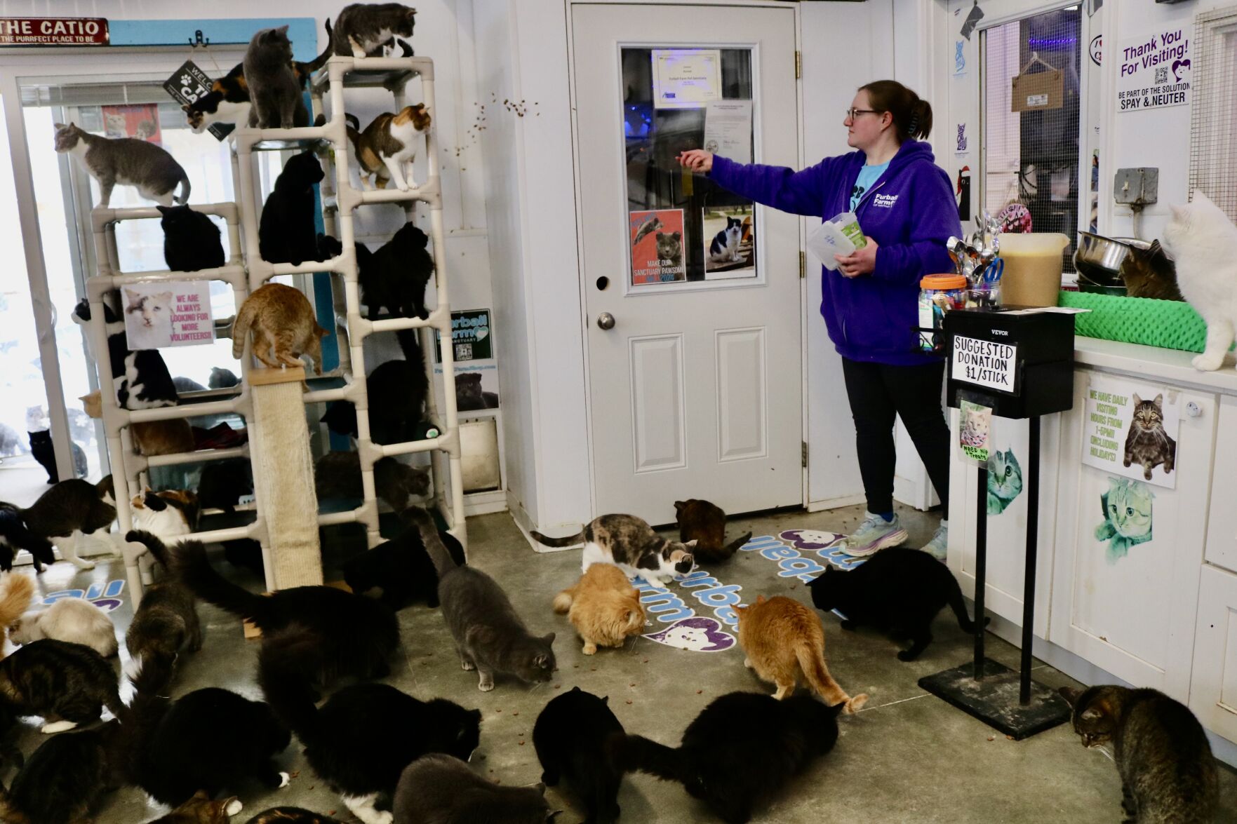 Furball Farm garners 2.4M online followers, fanbase continues to grow ...