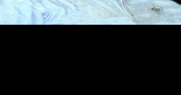 Michael W. Thomas | Obituaries | southernminn.com