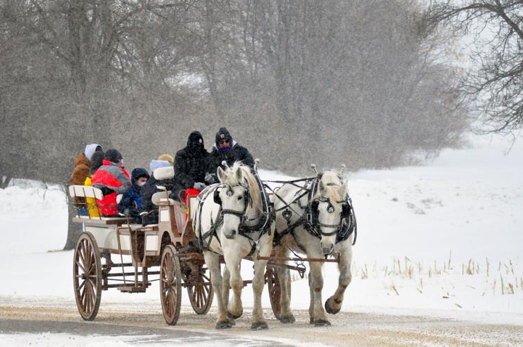 Winter Charm on the Farm kicks off Sleigh and Cutter Festival | News ...