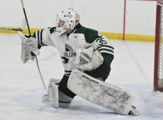 Faribault Hockey Day ends with 4-1 Falcons win over Red Wing | Sports ...