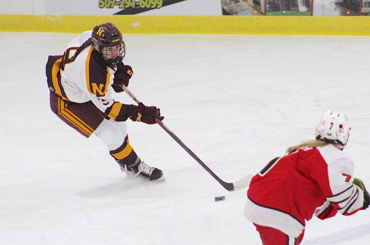 NHS girls hockey just short against Lakeville North | Sports ...