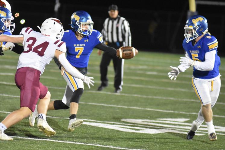 Waseca’s late surge falls short in Section 3AAA championship game | Sports | southernminn.com