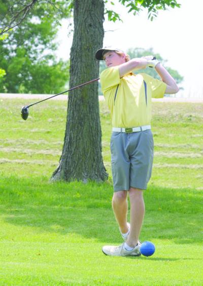 WCN All-Area Boys Golfer of the Year: Josh Kummerfeldt | Sports ...