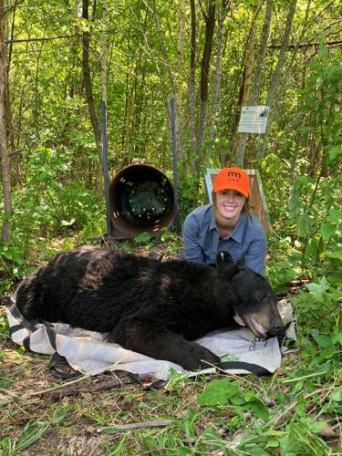 Bear sightings uptick around southern Minnesota | News | southernminn.com