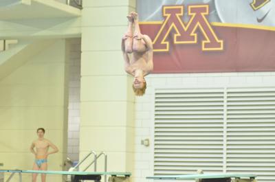 Ohlemann snags 9th at state diving in 1st appearance | Sports ...