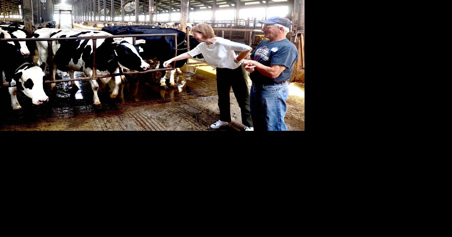 Senator hears about ag challenges at Kenyon area farm | News ...