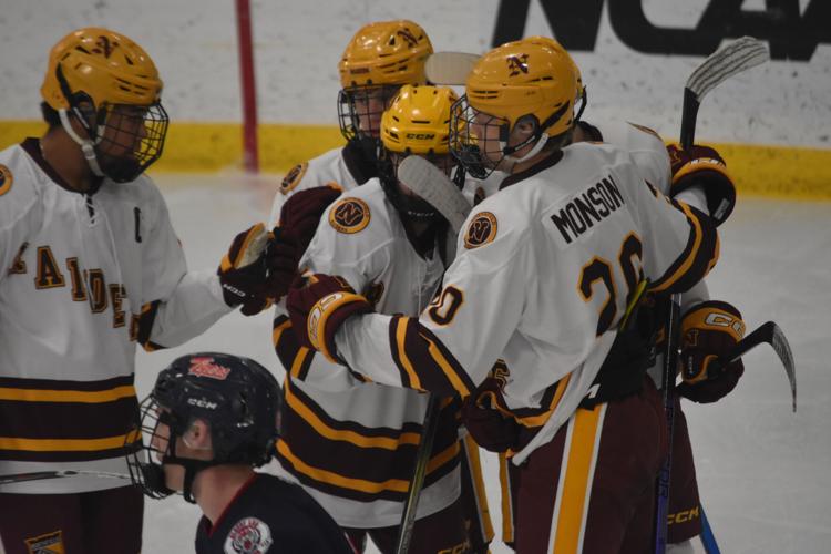 Northfield boys hockey remains undefeated in Big 9 | Sports ...