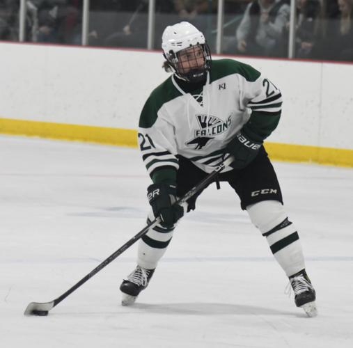 Faribault Hockey Day ends with 4-1 Falcons win over Red Wing | Sports ...