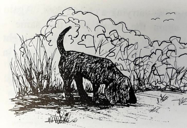 Mystery of missing girl on Roberds Lake lives on 100 years later | News | southernminn.com