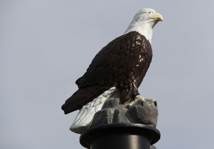 SCENE JULY - Through a SoMinn Lens: Reflecting on America 250 in ...