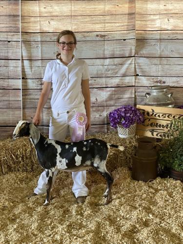 Waseca County Fair 4-H releases goat and horse show judging results ...