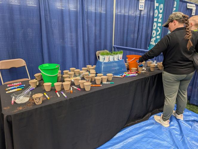 CHAMBER: Community Market Fair draws crowds, mini-Highland cows to ...