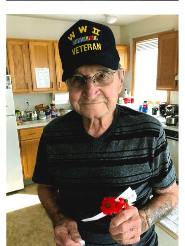 Verlyn Francis Cornelius | Obituaries | southernminn.com