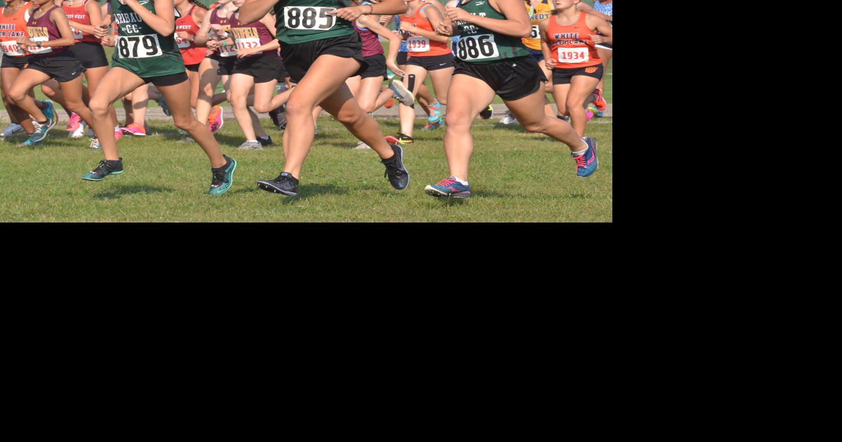 PHOTOS: Falcon cross country teams compete at Faribault Invite | Sports ...