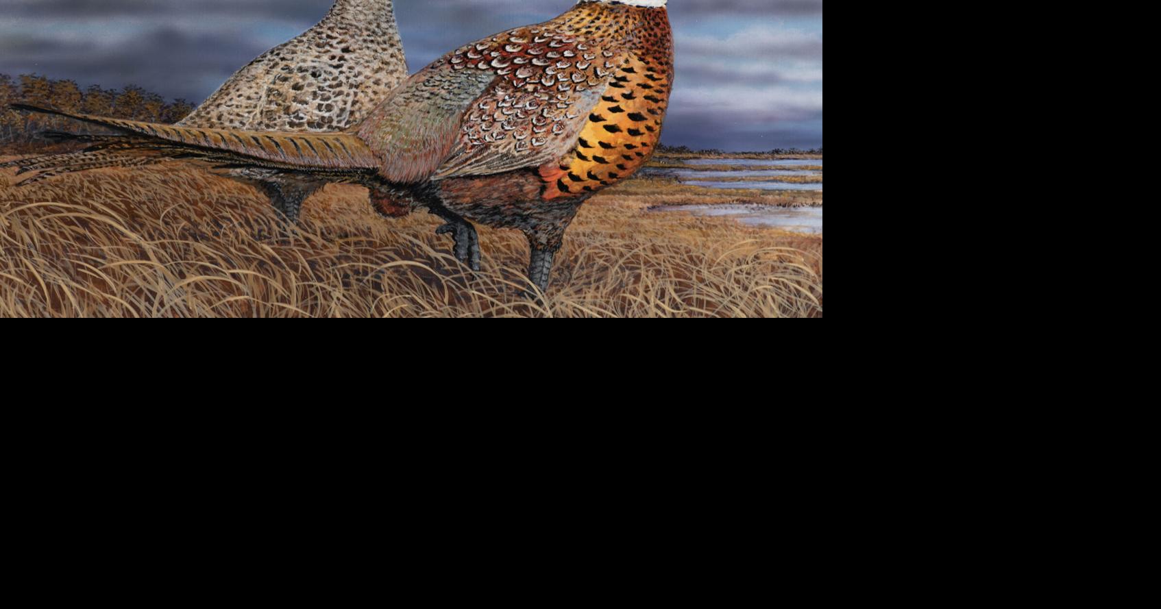 Winners chosen for pheasant and turkey stamp contests | Community ...