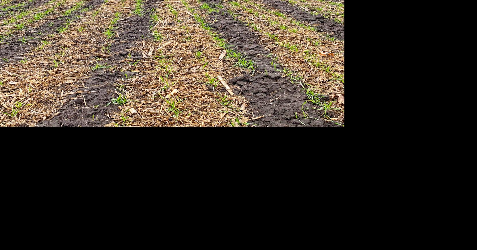 Hwy 14 Soil Health Tour kicks off Feb. 21 in Owatonna | News ...