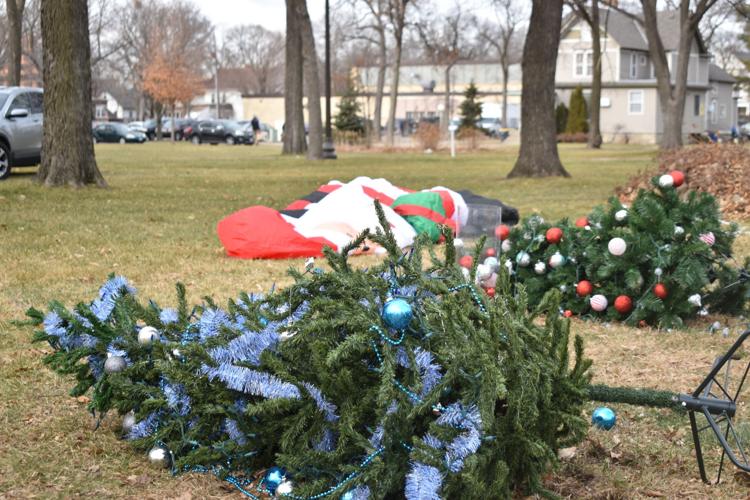First Adopt a Tree event a hit with business and recipients | News ...