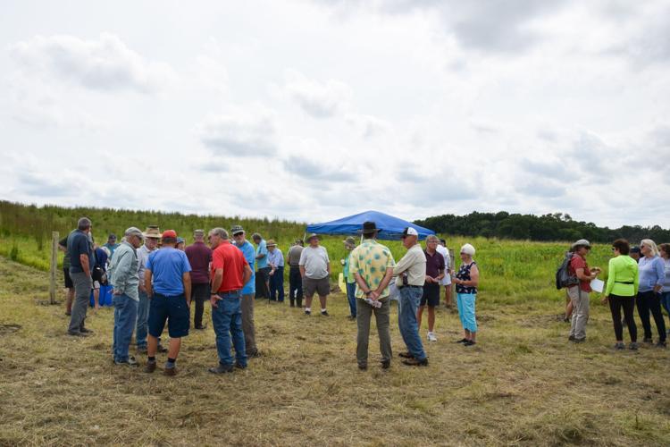 Hruska sisters turn family land into protected wildlife area | News ...