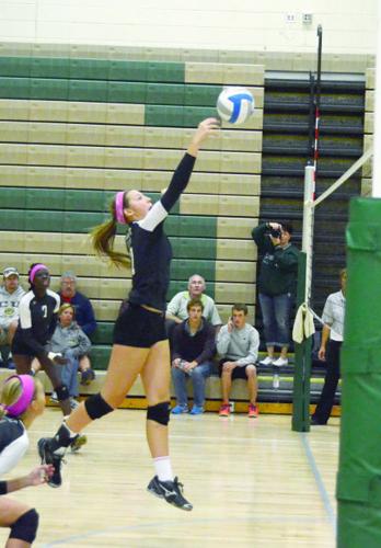 Falcons fall to Mankato West in title match of Faribault Invitational ...
