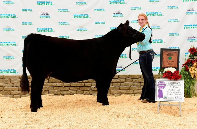 Waseca County 4-Hers excel at 2015 Minnesota State Fair | News ...