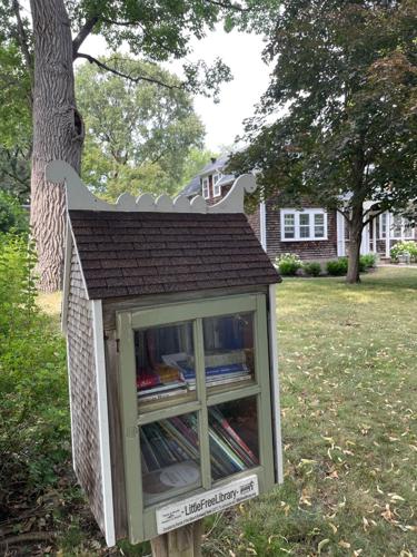 Northfield's Little Free Libraries continue to enchant, engage readers ...