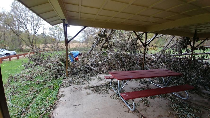 Invasive species, tornado left park needing some TLC | News ...