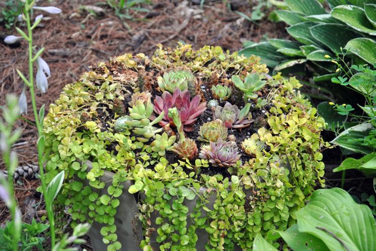 Northfield Garden Tours showcase local gardens and artists | News ...