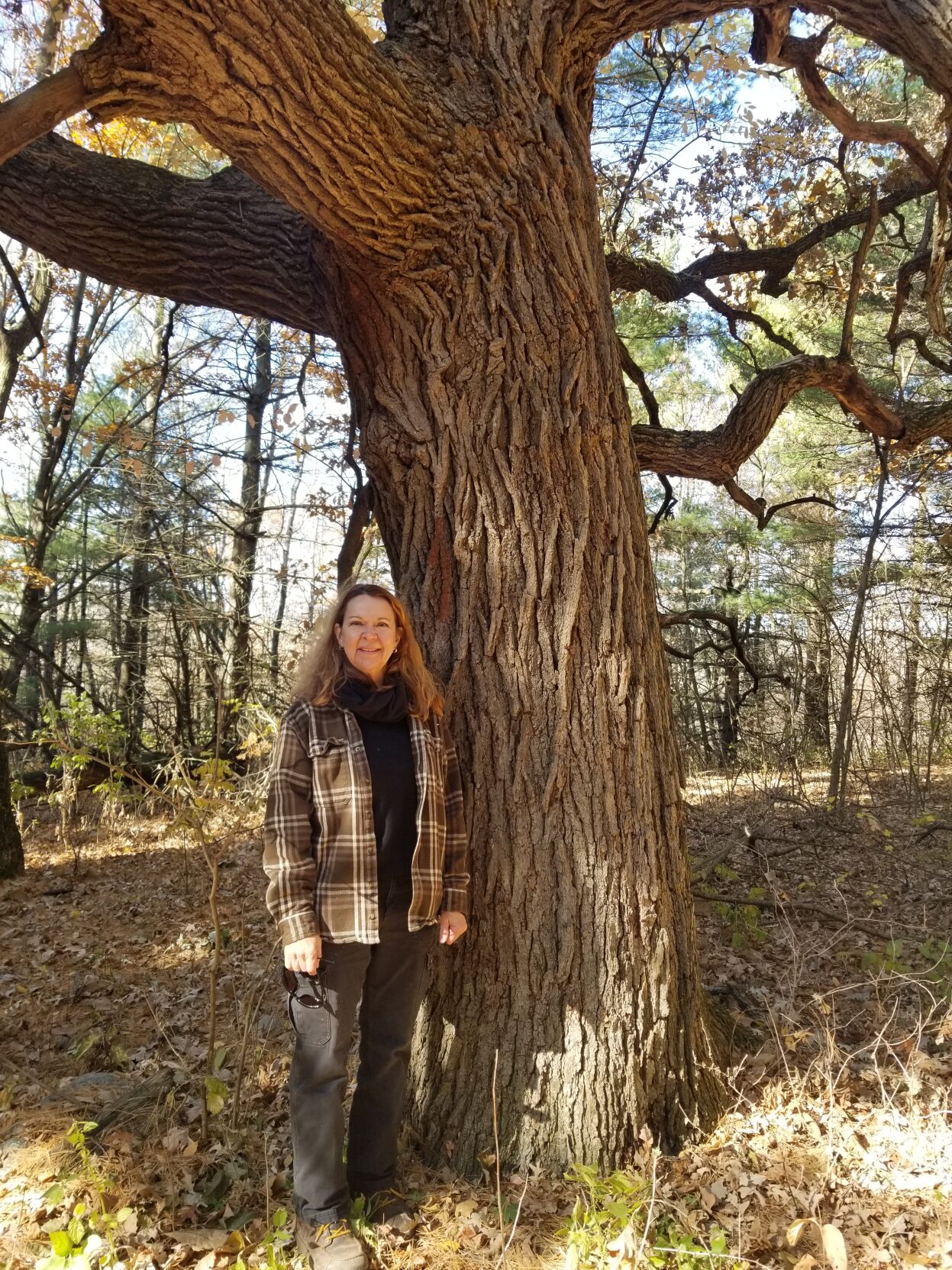 Four-generation farm family receives Forest Stewardship Award | News ...