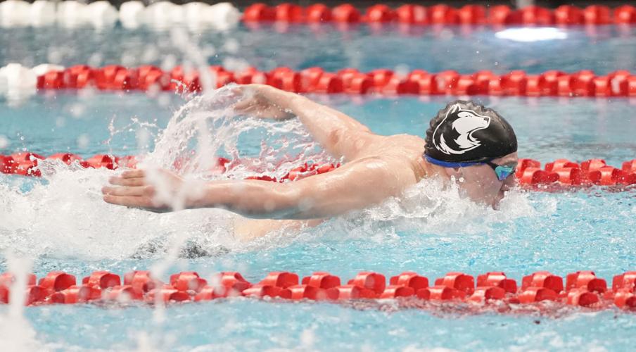 Owatonna swim sets 3 school records as Huskies make first state swim ...
