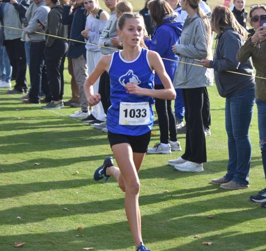 Huskies punch tickets to state as a team, while Leckner finishes in top ...