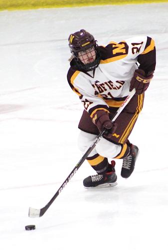 Northfield girls hockey upsets Lakeville South, advances to section ...