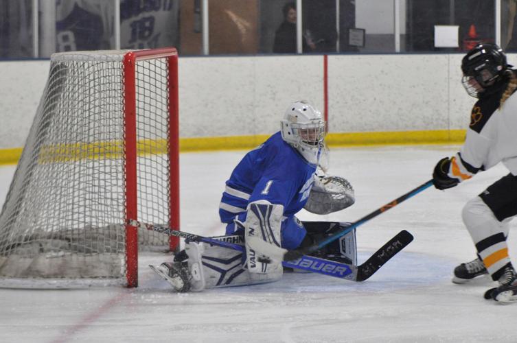 Bulldogs fall to Mankato East in season opener | Sports | southernminn.com