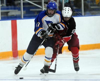 Winter Sports Preview: Waseca girls hockey | Sports | southernminn.com