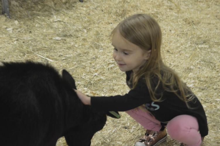 PHOTOS: Nicollet County Fair brightens up summer | News | southernminn.com