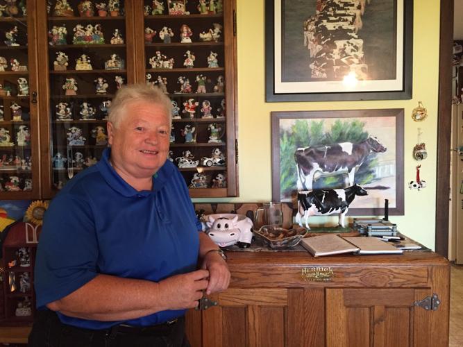 Nicollet County collector's MOO-seum to be feted Saturday | News ...