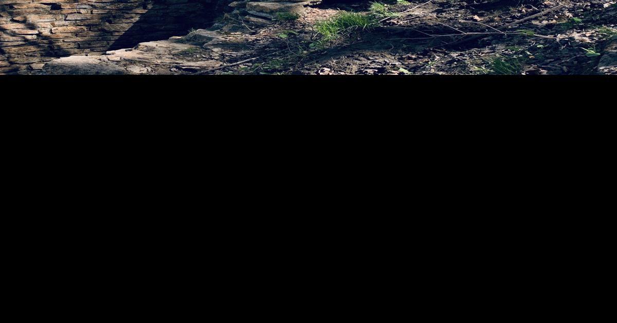 Isaac Erickson | Virtual Graduations | southernminn.com