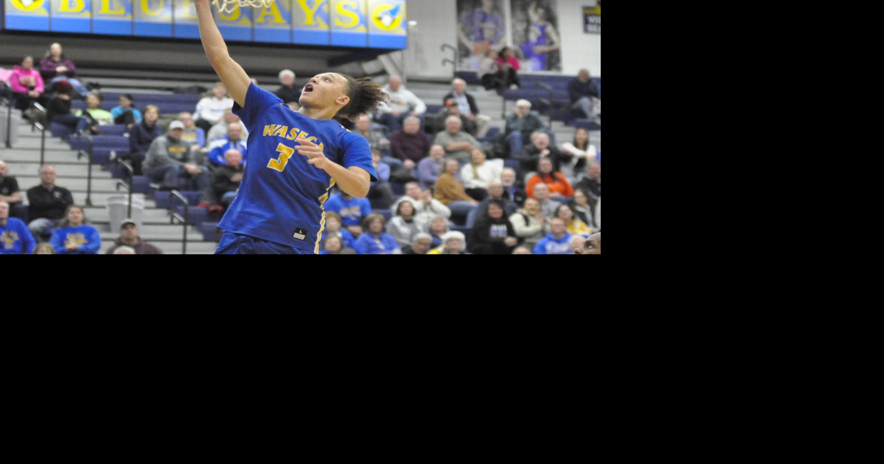 WINTER SPORTS GUIDE: Waseca Boys Basketball | Sports | southernminn.com